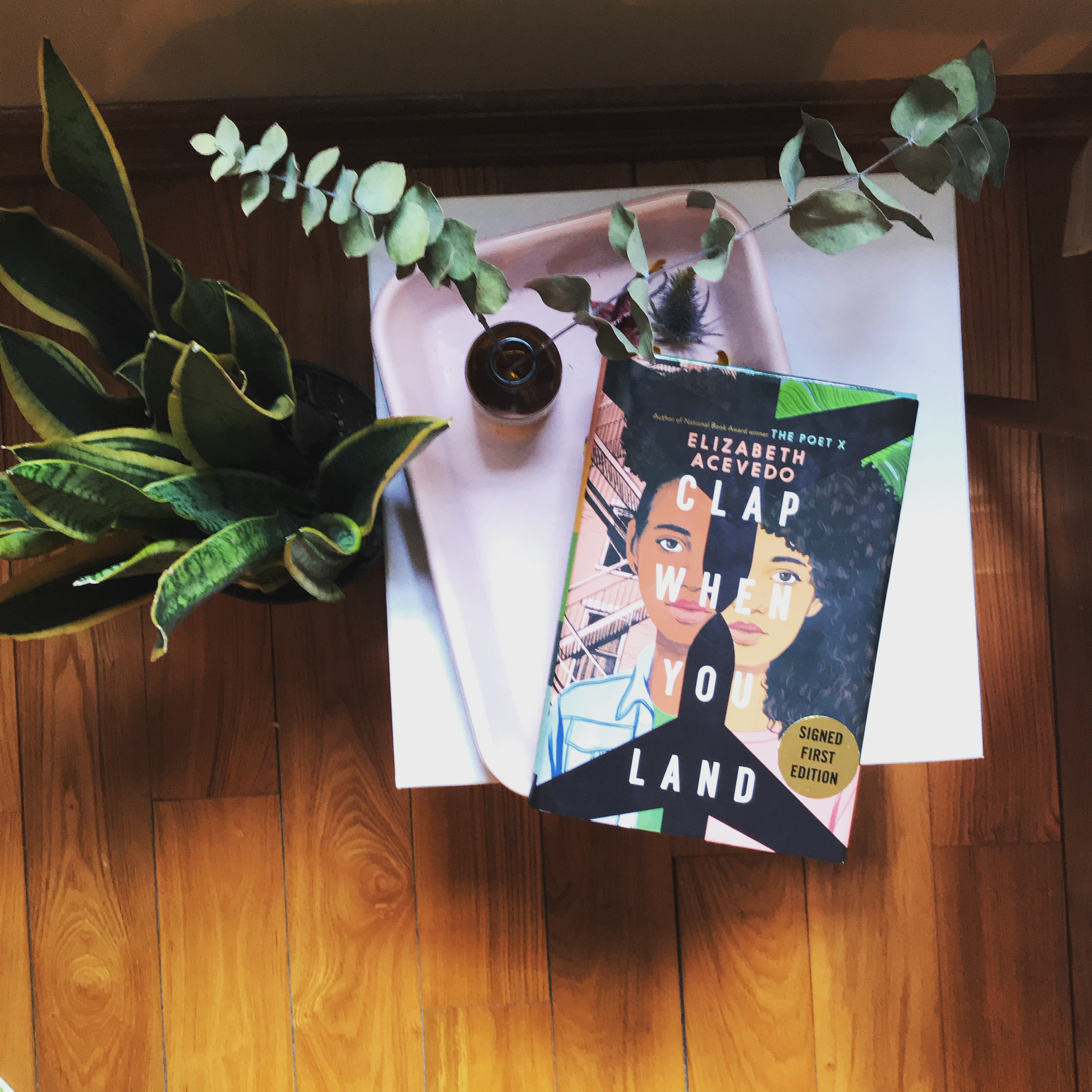 Book Review: Clap When You Land // Elizabeth Acevedo – Sarah's Shelf